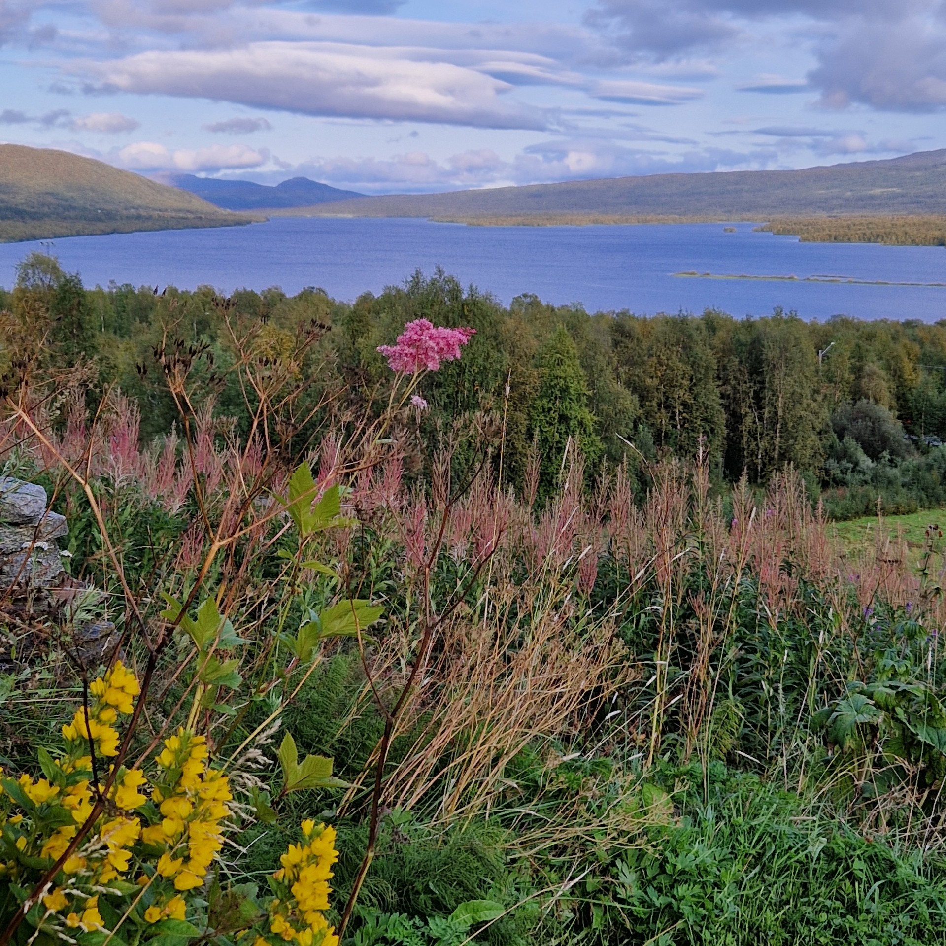 History of Gaemo Lodge - A Legacy of Sami Heritage